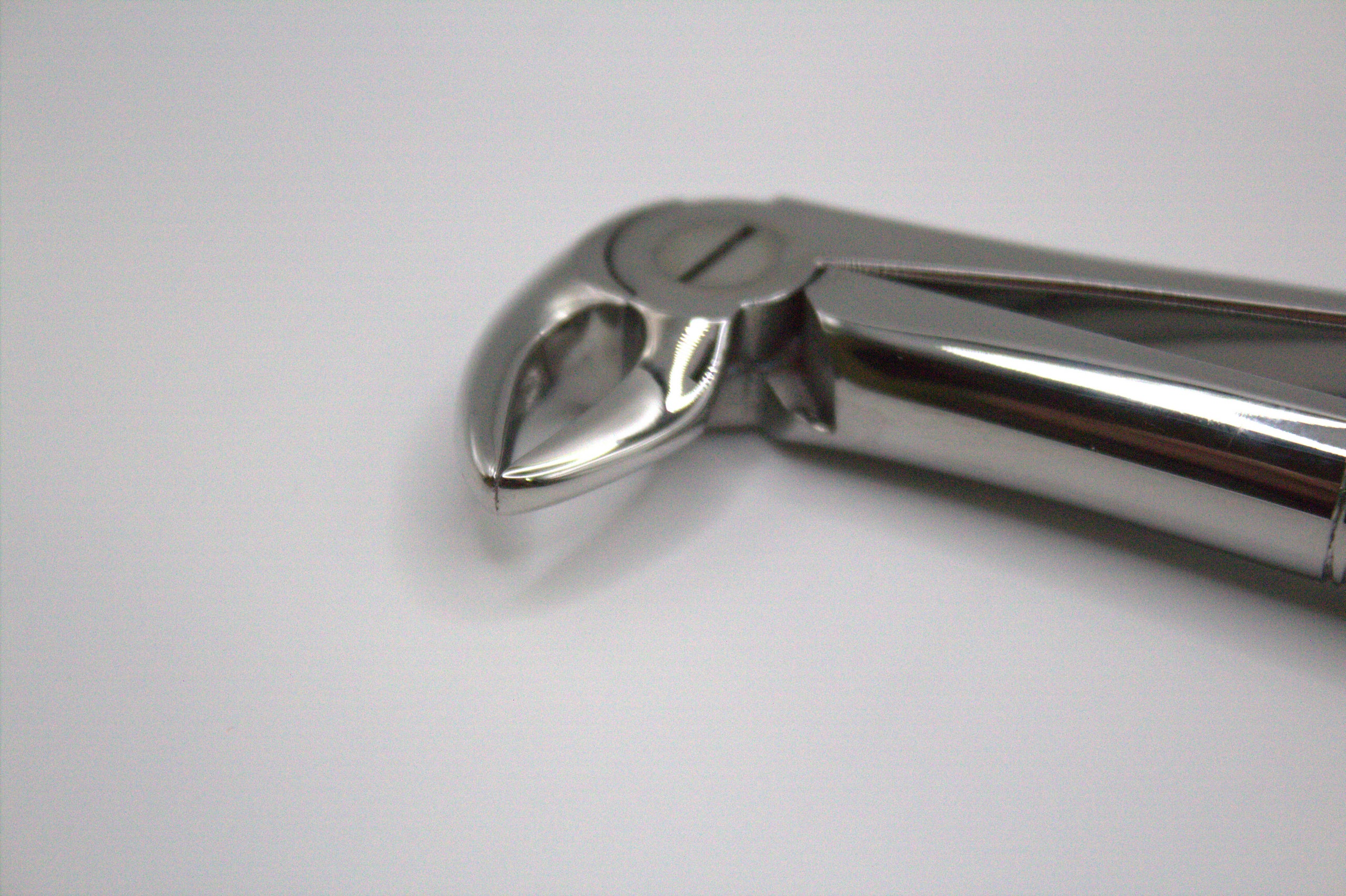 Mandibular Root Forcep | FLUX DENTAL